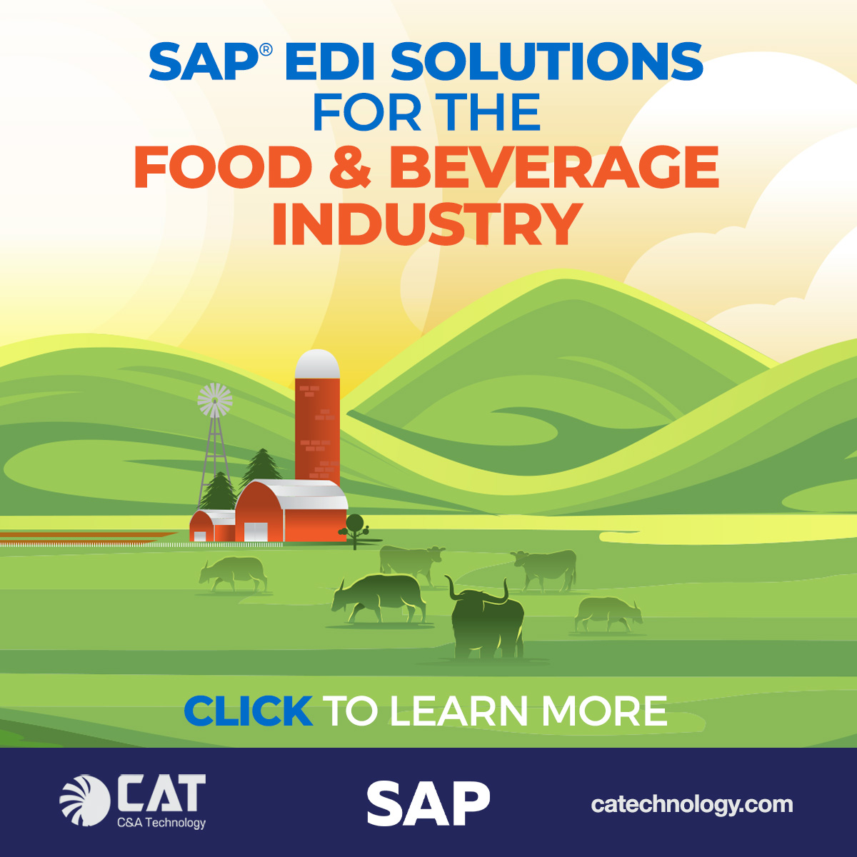 SAP EDI Managed Services - C&A TECHNOLOGY